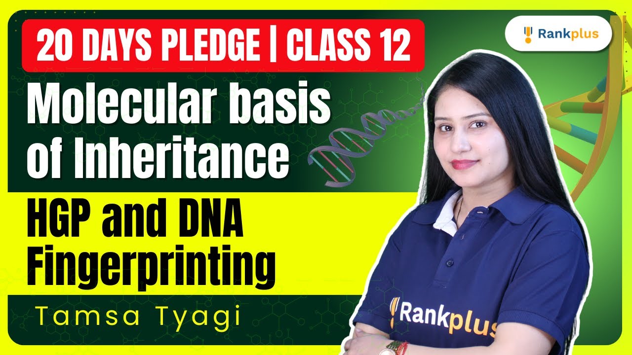 CBSE Class 12 Biology | Molecular Basis of Inheritance | HGP and DNA ...