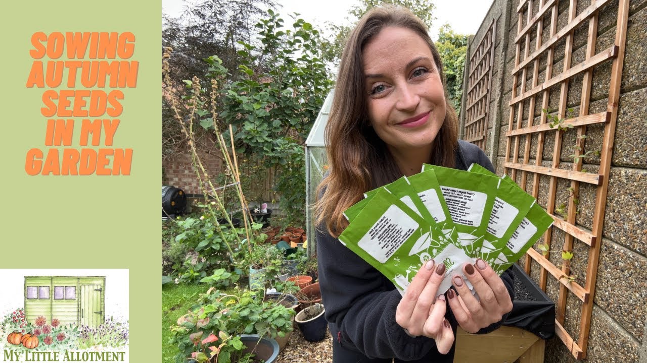 Sowing autumn vegetable seeds in my garden 🍂 - YouTube