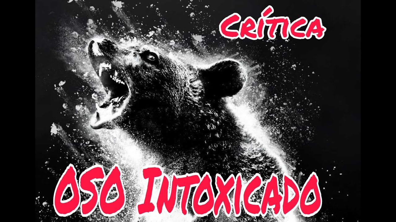 Oso Intoxicado (Cocaine Bear) Critica y que saber antes de verla🧸🐻😵‍💫📽️ ...