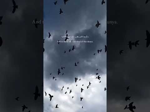 Shukran Laka Rabbi by Ahmed Bukhtair ❤️‍🩹 #islam #allahﷻ #muftimenk #quranverses #ramadan