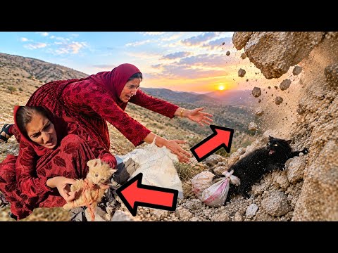 A Miraculous Rescue in the Desert of Death: How Zoleikha Saved an Animal.