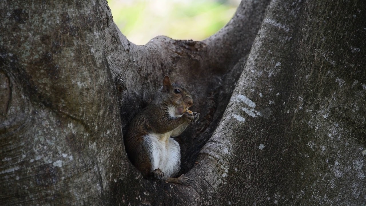 Sabrina Prior To Her Rescue (Flashback) - YouTube