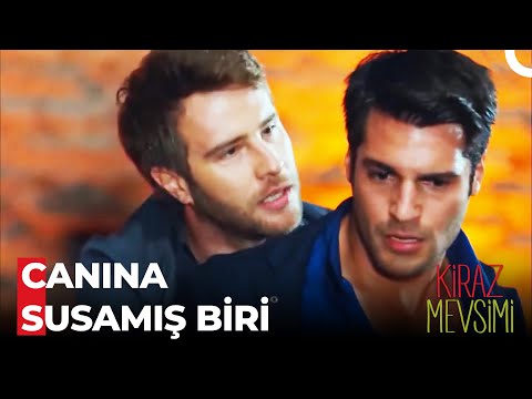 Ayaz'dan Dayak Şov - Kiraz Mevsimi