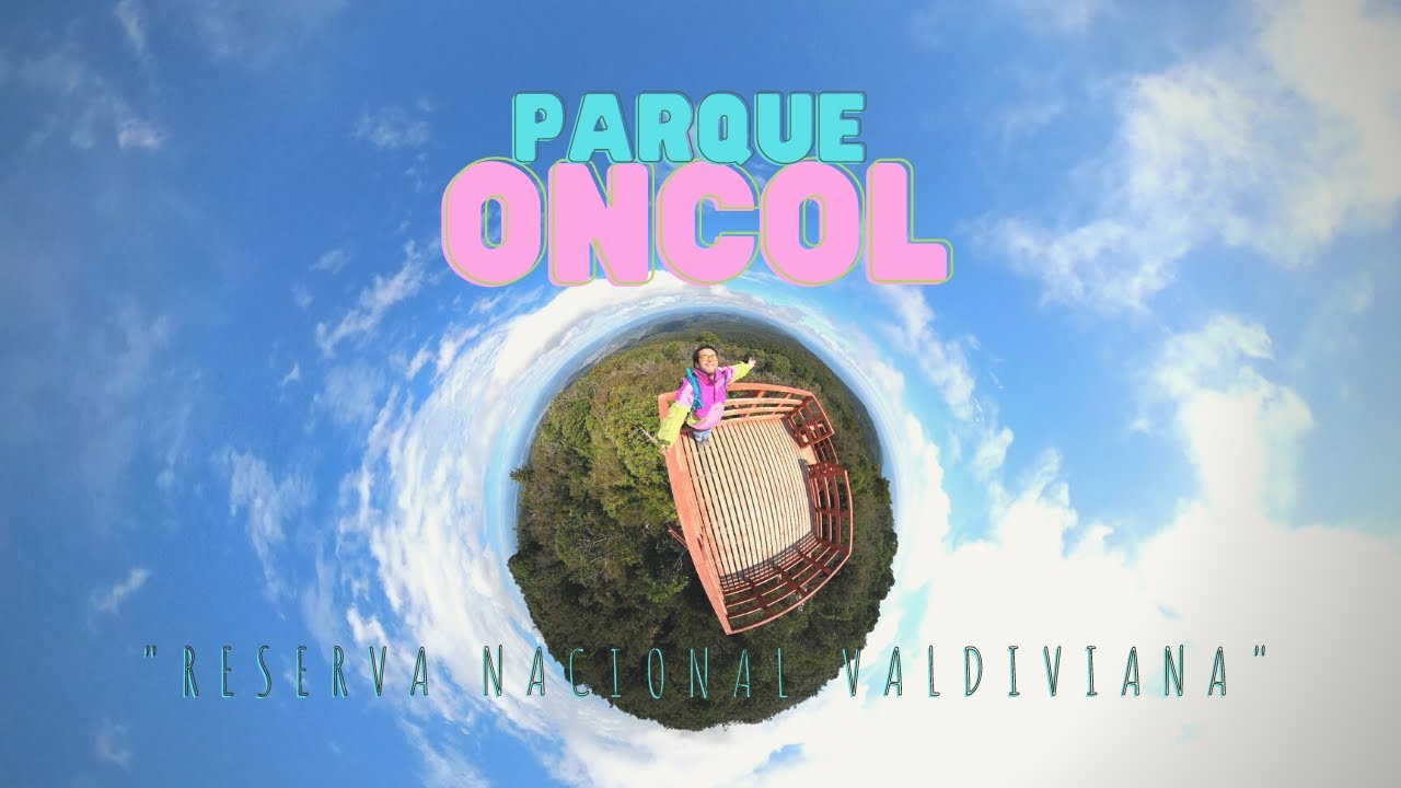 PARQUE ONCOL - Reserva valdiviana - YouTube