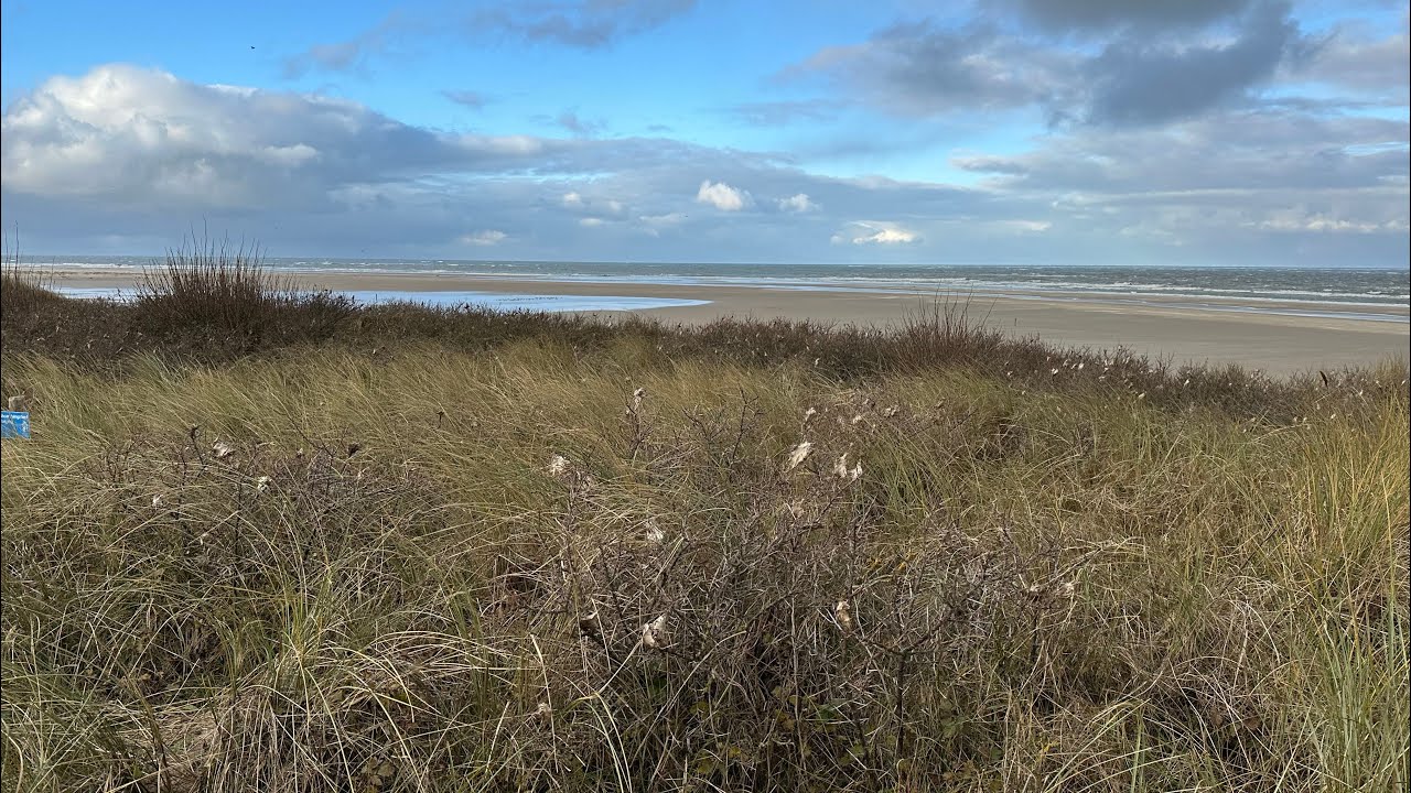 Waddenzee Texel Island UNESCO - YouTube