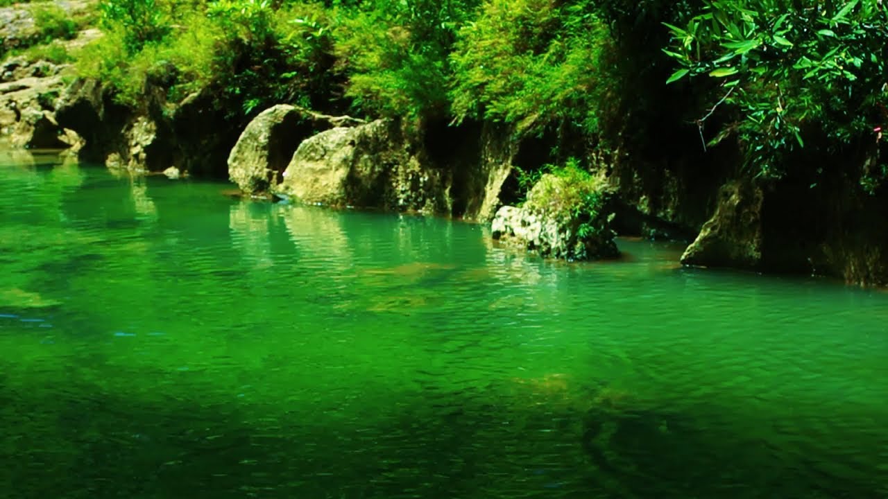 Shimmering River Rocks Under Sunlight | Pure Tranquility Scene - YouTube