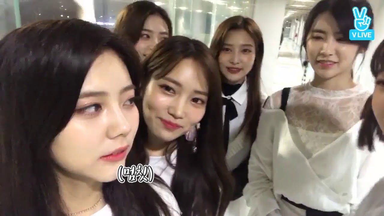 [V LIVE] DIA-비오는 날에도 얌순이들은 참지 않긔🌧️(DIA’s V after their Dream concert ...