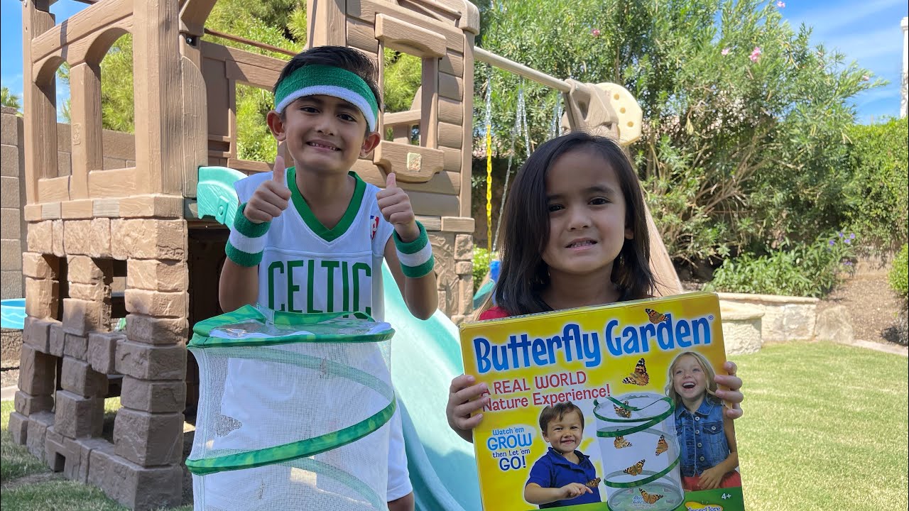 Raising 4 Butterflies in the Butterfly Garden with Luca & Maverick ...