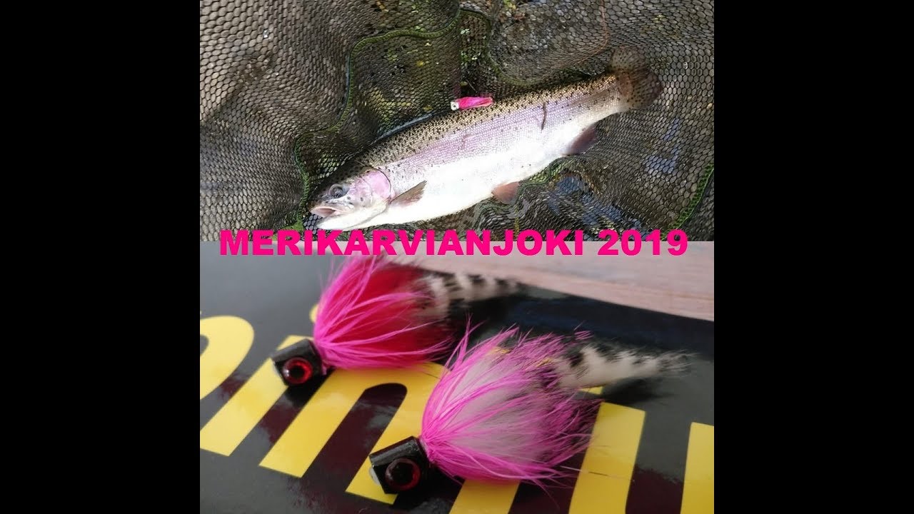 Merikarvianjoki 2019 | Kirjolohen kalastus 2019 | kalastus 2019 - YouTube