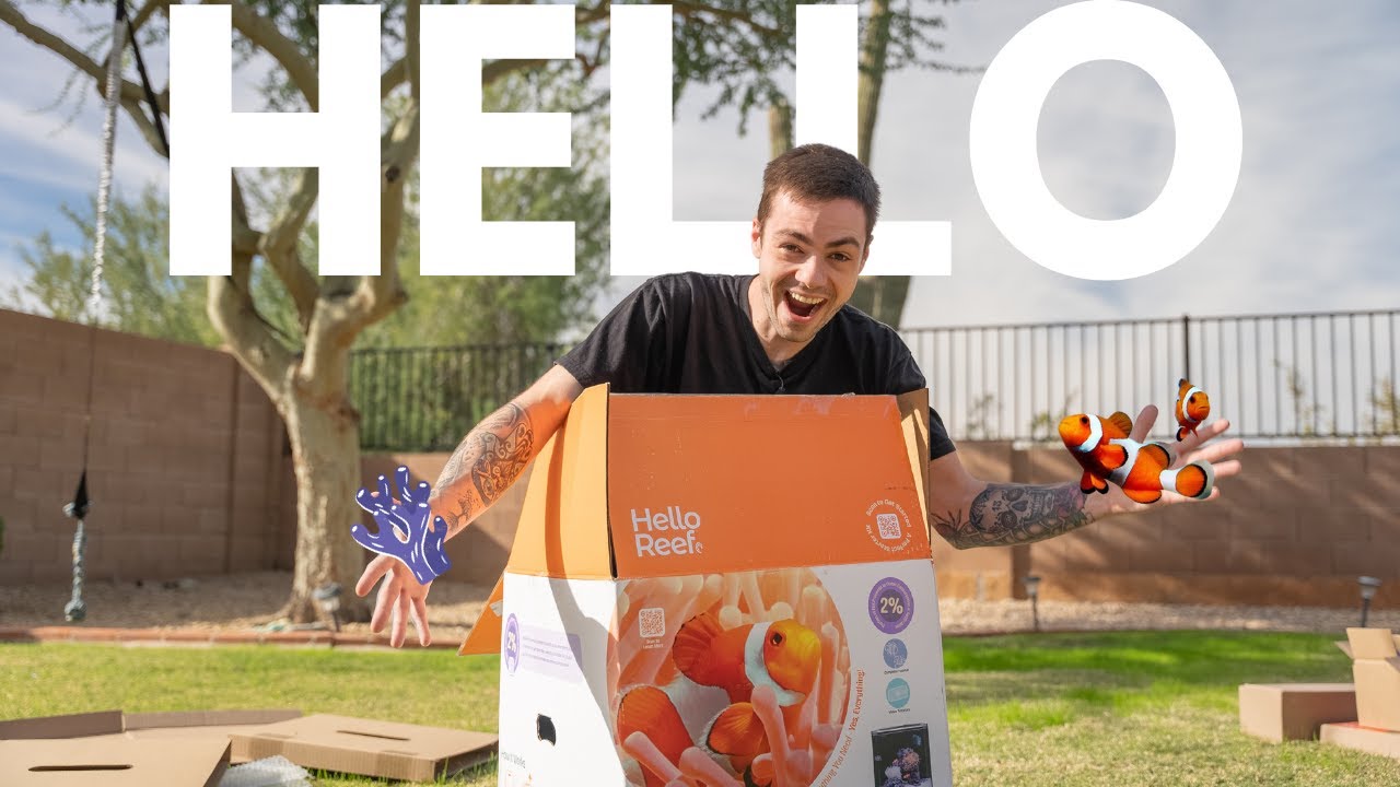 Say Hello To My Very First Salt Water Tank! - YouTube