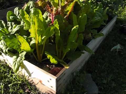 Portable Raised Bed Garden - YouTube