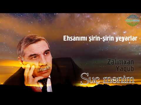 Zəlimxan Yaqub - Suç mənim