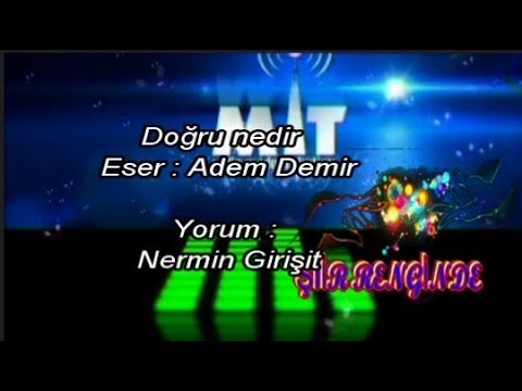 Doğru Nedir_Adem Demir_Şiiri yorum : Nermin Girişit