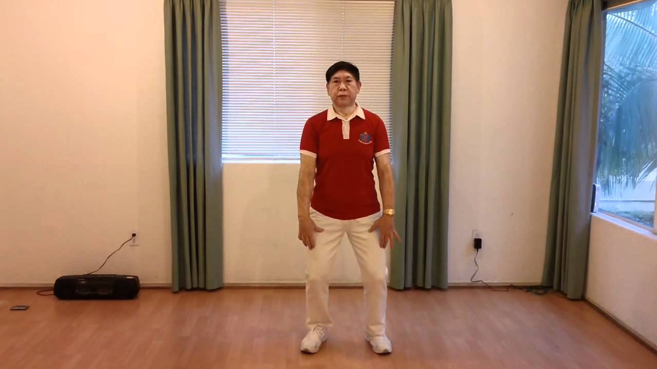 Lin Housheng Shibashi Movement Sample 1 - YouTube