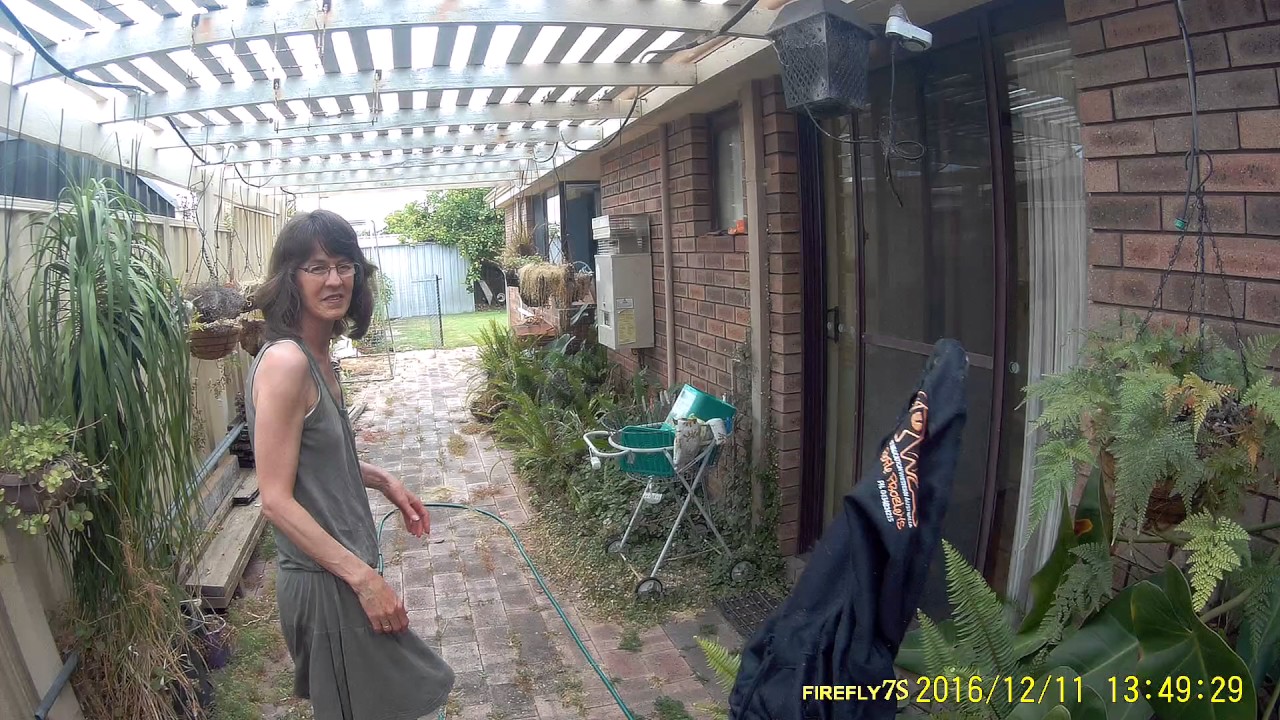 111216 Lisa Catches A Dugite Youtube