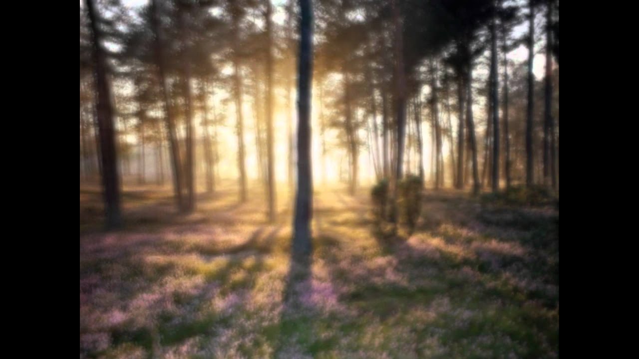 Juz 25 The Holy Quran Mishary Al Afasy Ibrahim Walk Saheeh ...