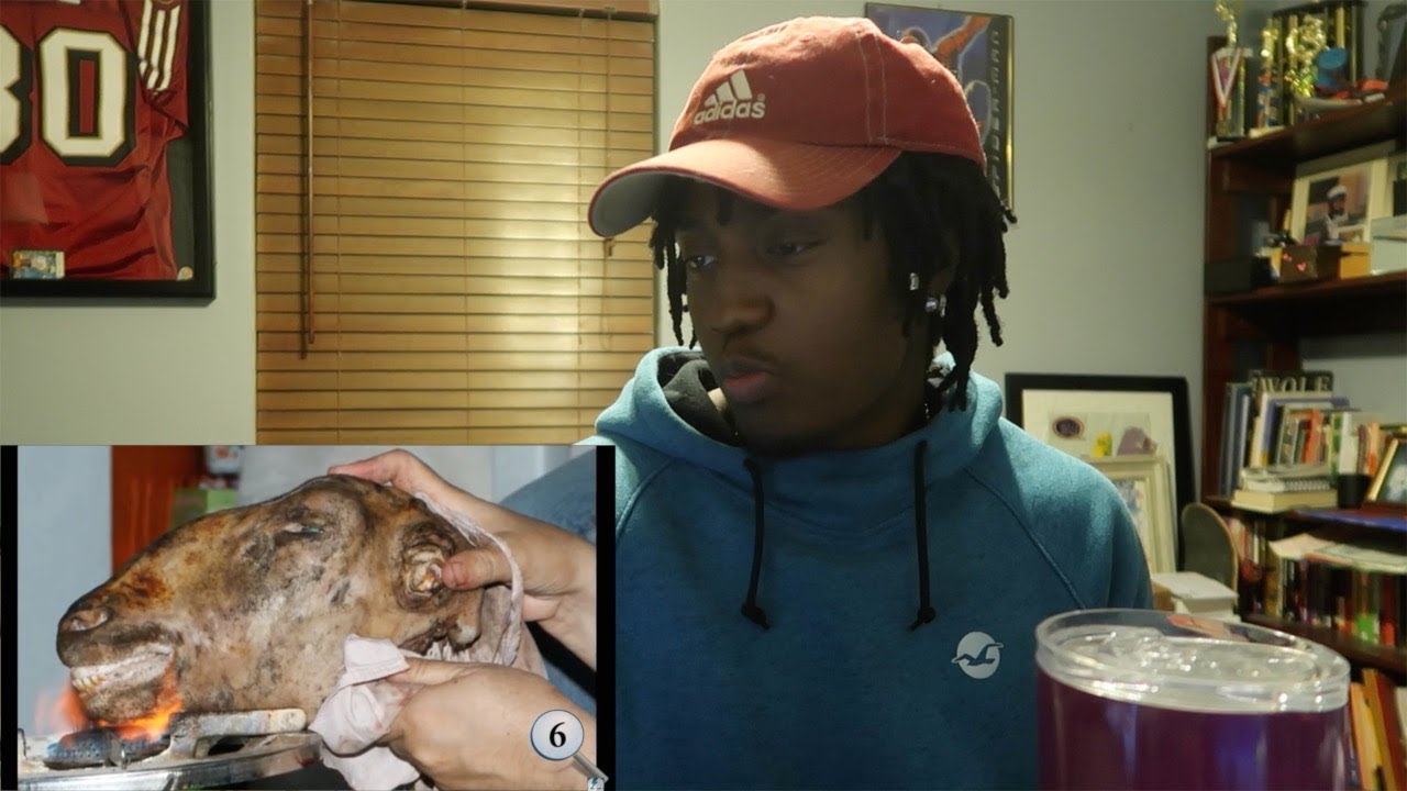 Strange Foods Around The World: Most Disgusting Weird Foods People Eat ...