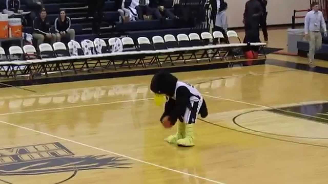 LIU Brooklyn Blackbird Mascot Makes Half-Court Shot at Halftime vs ...