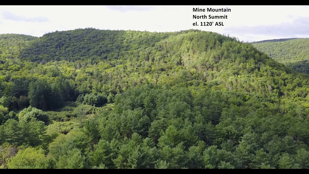 Cornwall Conservation Trust's Trinity Forest Preserve - YouTube