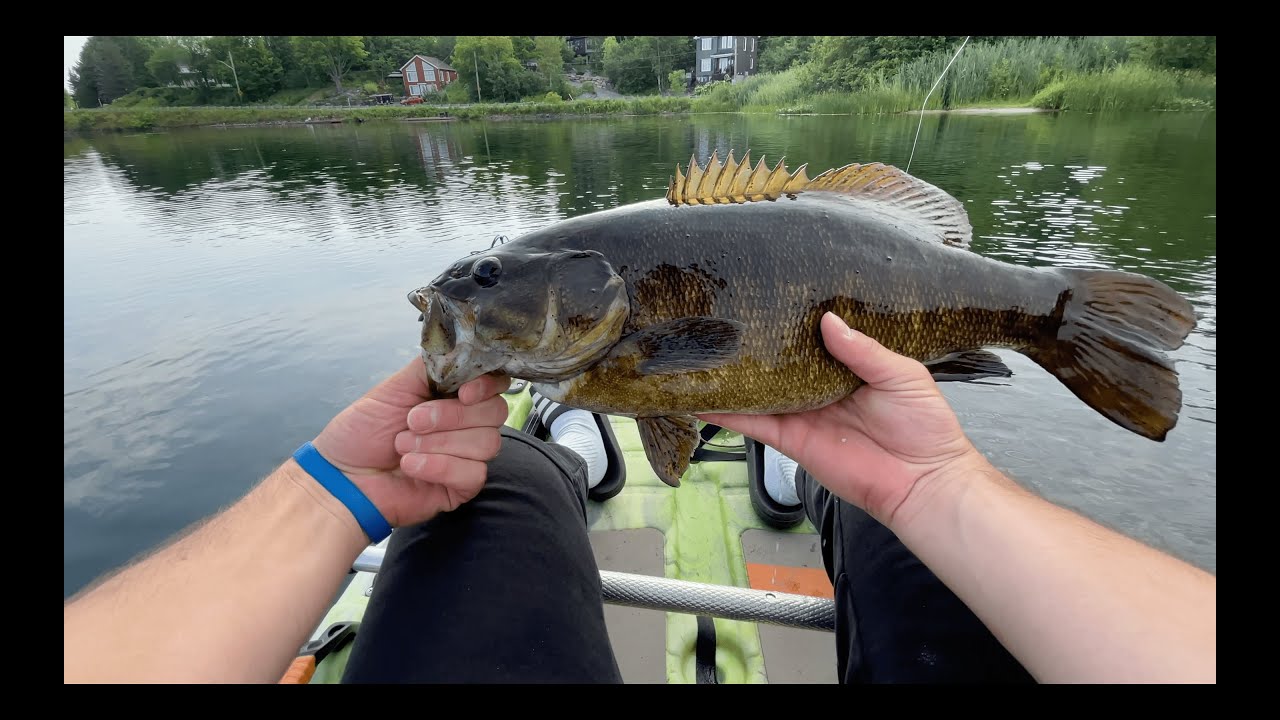 Pêche à l'achigan sur la rivière Magog! (Kayak Fishing) 4K - YouTube