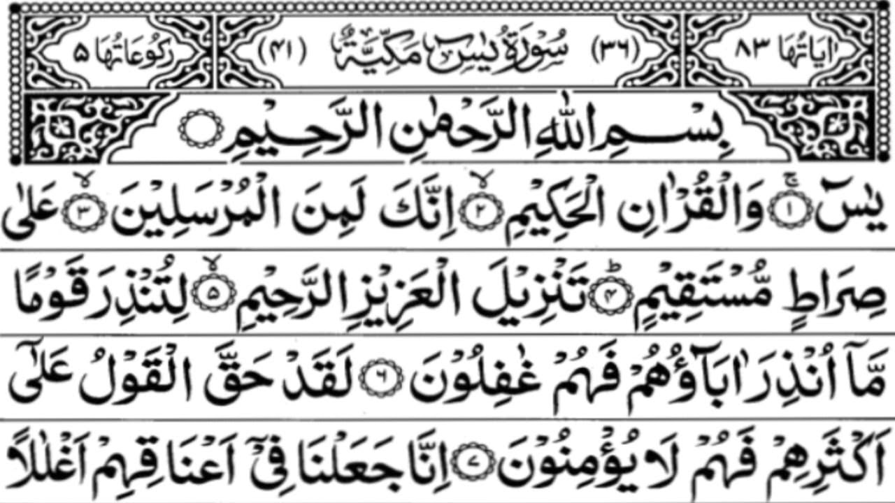 Surah Rehman: The Beauty Of Divine Mercy [Recitation And Reflection ...