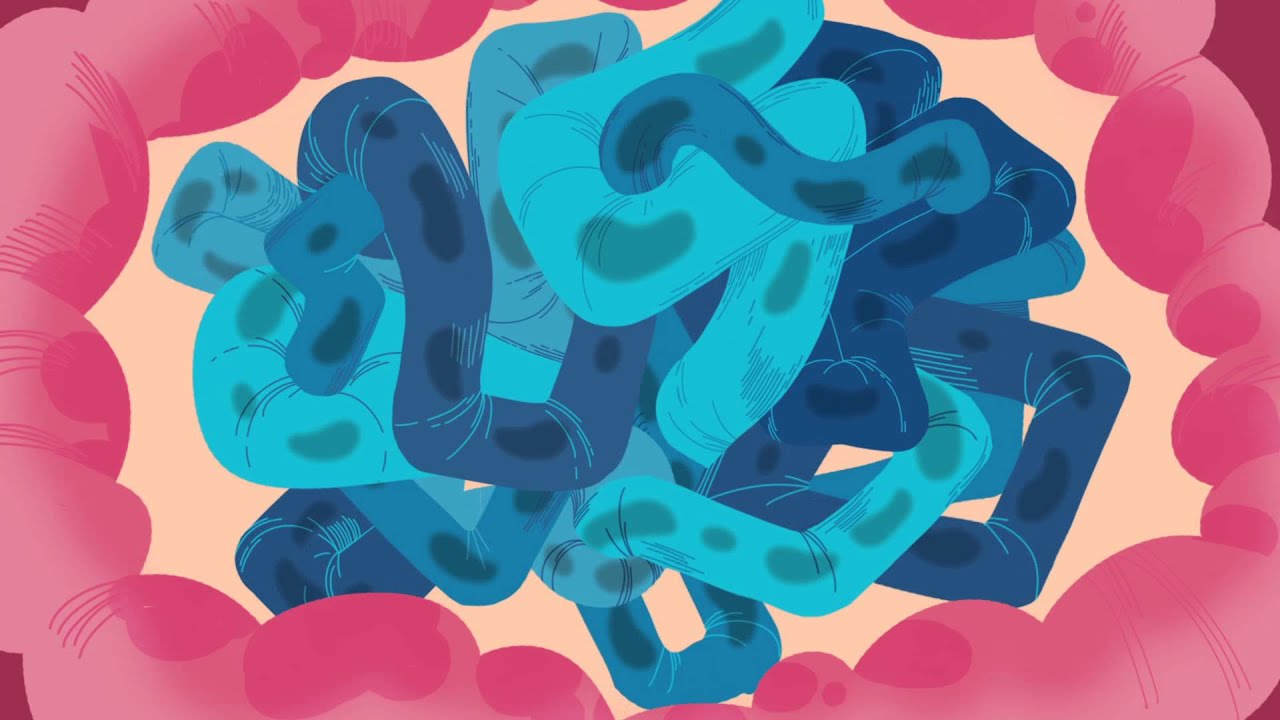 Body Songs: "Food Into Energy," The Tummy Song by StoryBots | Netflix ...