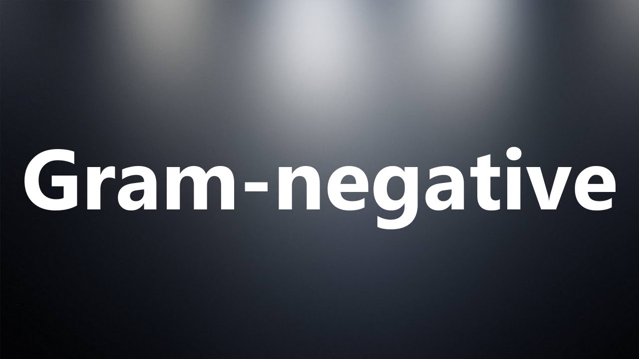 Gram-negative - Medical Definition and Pronunciation - YouTube