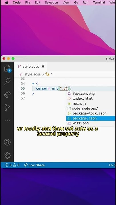 Custom Css Cursors 👻 Javascript Javascriptwizz Webdevelopment Programming Softwareengineer 