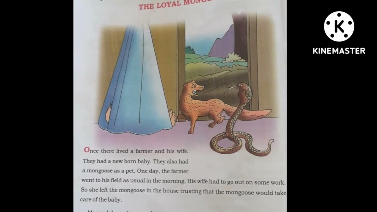 CLASS 3 ENGLISH UNIT 3 THE LOYAL MONGOOSE ..Reading part with good ...