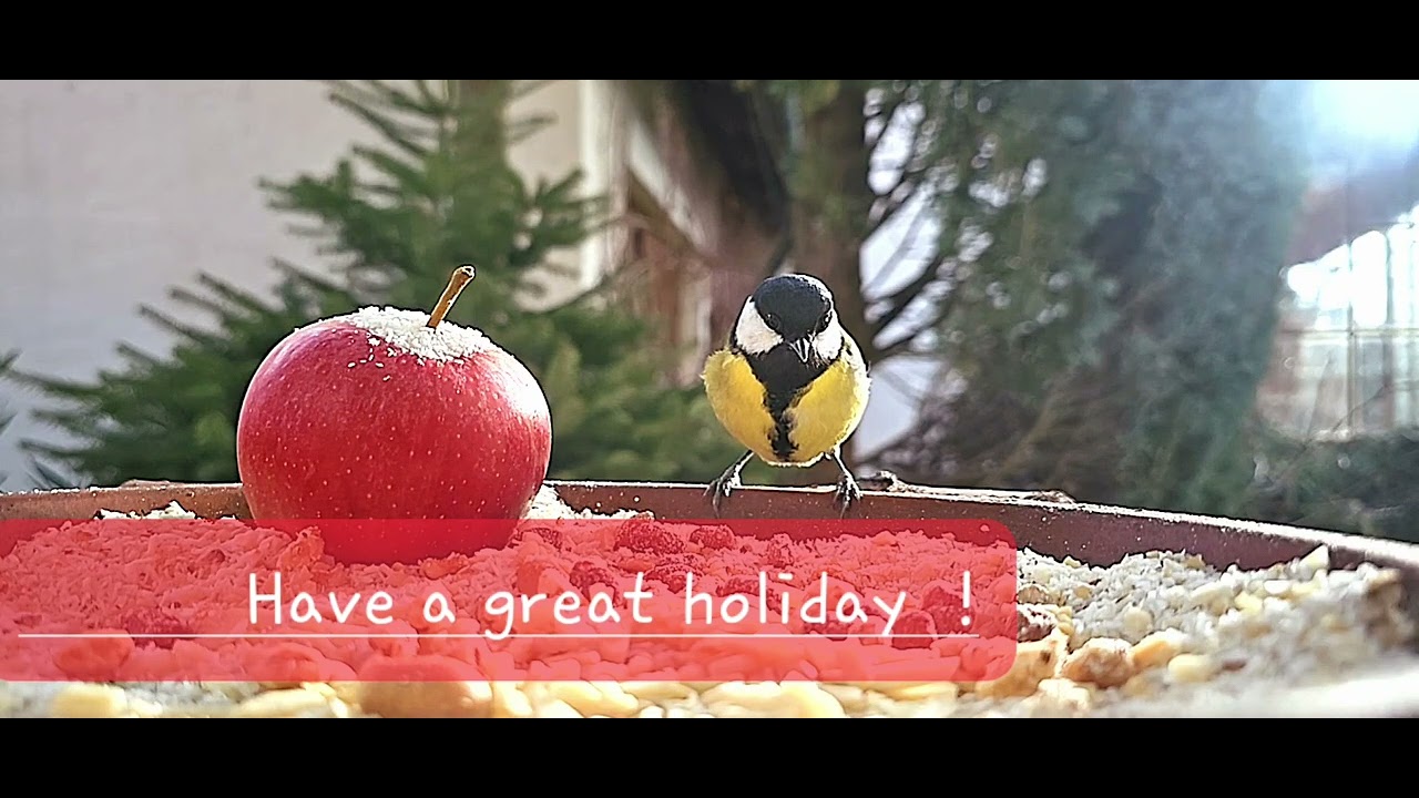Have a great holiday ! - YouTube