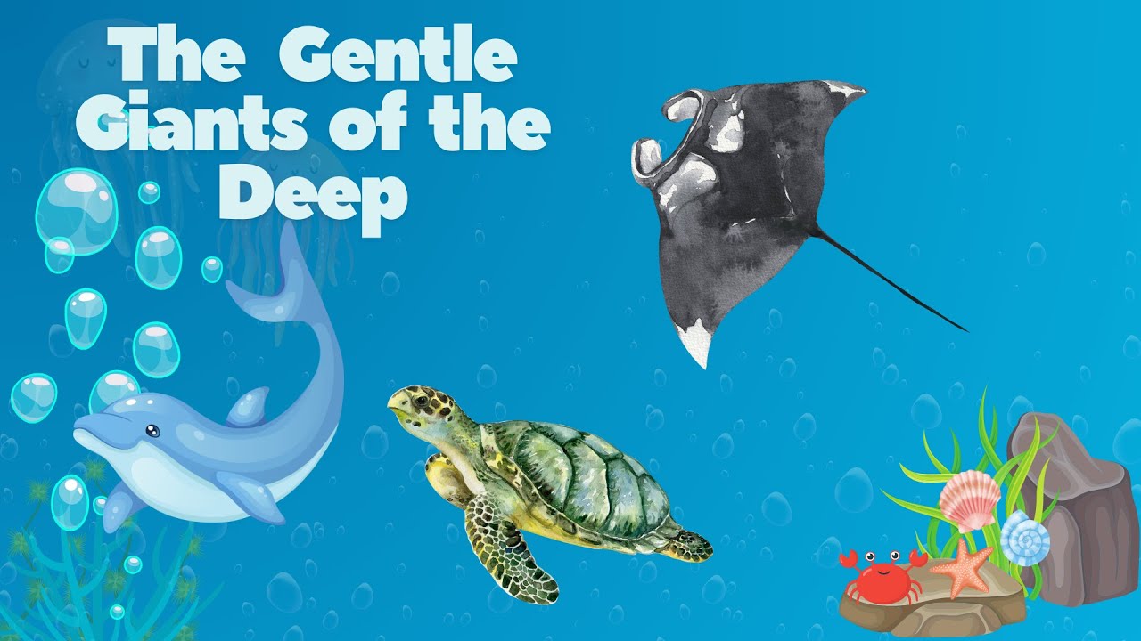 The Gentle Giants of the Deep | Finn and Toby's Ocean Adventure - YouTube