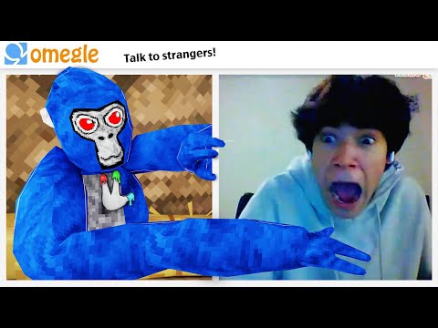 Omegle Trolling with MODS
