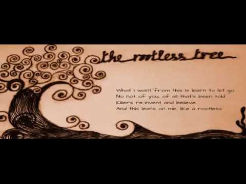 Damien Rice - Rootless Tree (Cover with lyrics) - YouTube