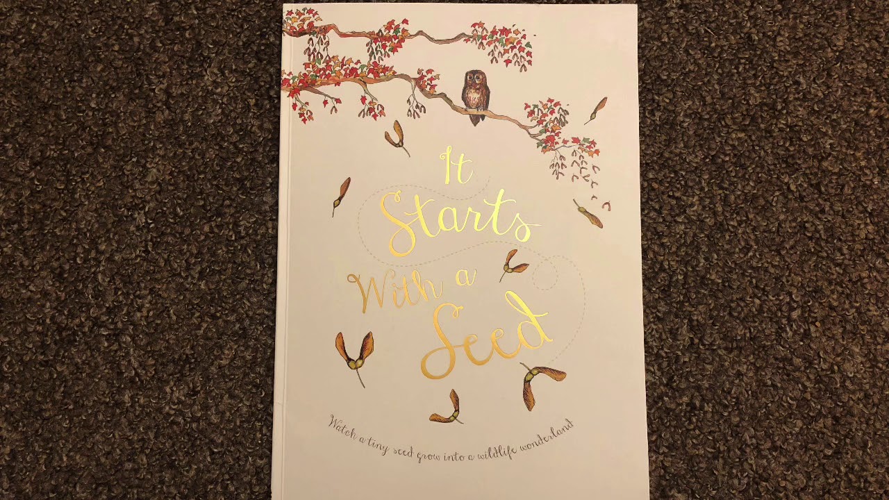 It Starts With A Seed - Laura Knowels - YouTube