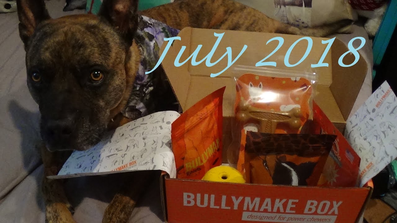 BullyMake Box Unboxing -July 2018 - YouTube