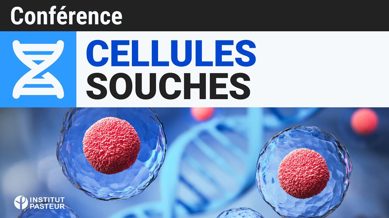 Conférence Digitale : RÉPARER LE VIVANT : LES PROMESSES DES CELLULES ...