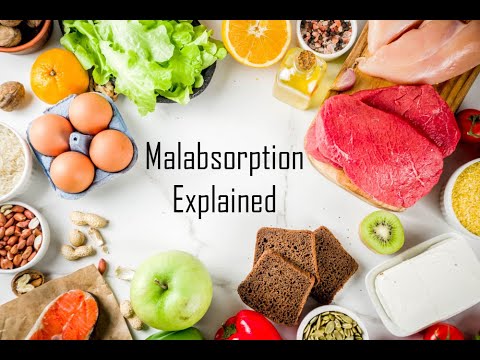 Malabsorption Explained - YouTube