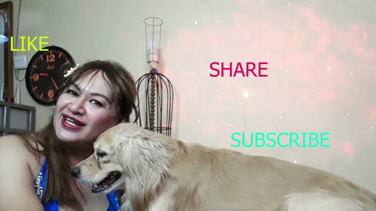 Deticks plus Alprocide Anti tick and fleas for Cats and dogs Review ...