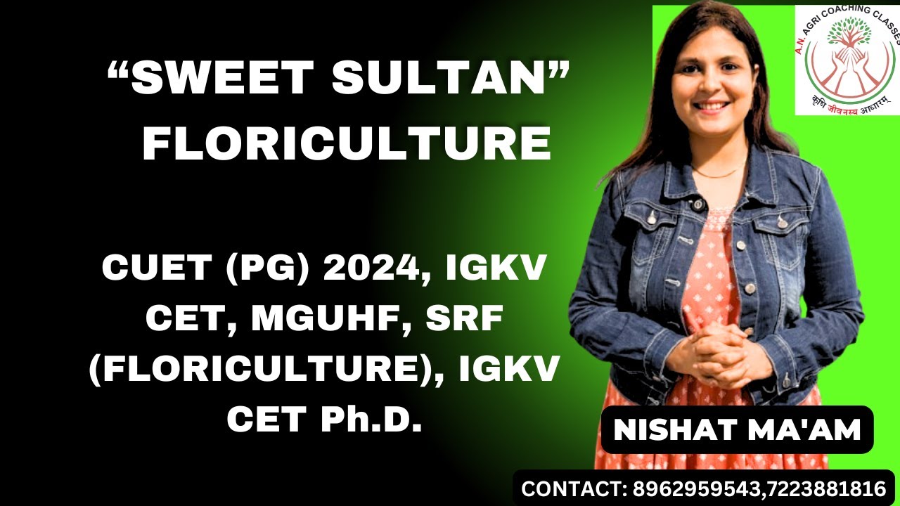 SWEET SULTAN FLOWER || FLORICULTURE || LANDSCAPING|| JRF || SRF || IGKV ...