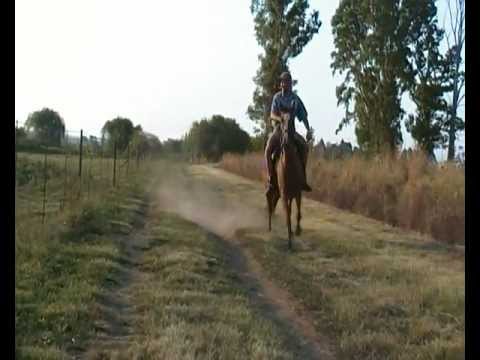 Stan perd ry - YouTube