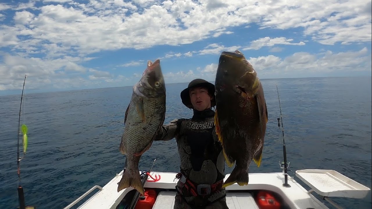 Spearfishing the Great Barrier Reef the ribbons reefs - YouTube