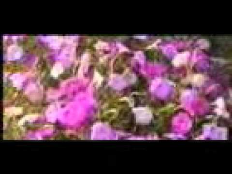 Baby Chanchal song010.3gp