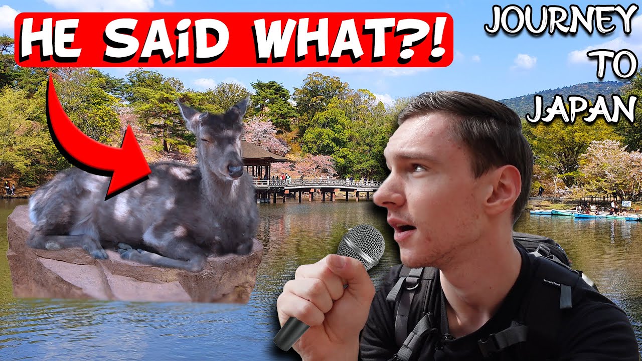 Interviewing Deer at Nara Park | My journey to Japan - YouTube