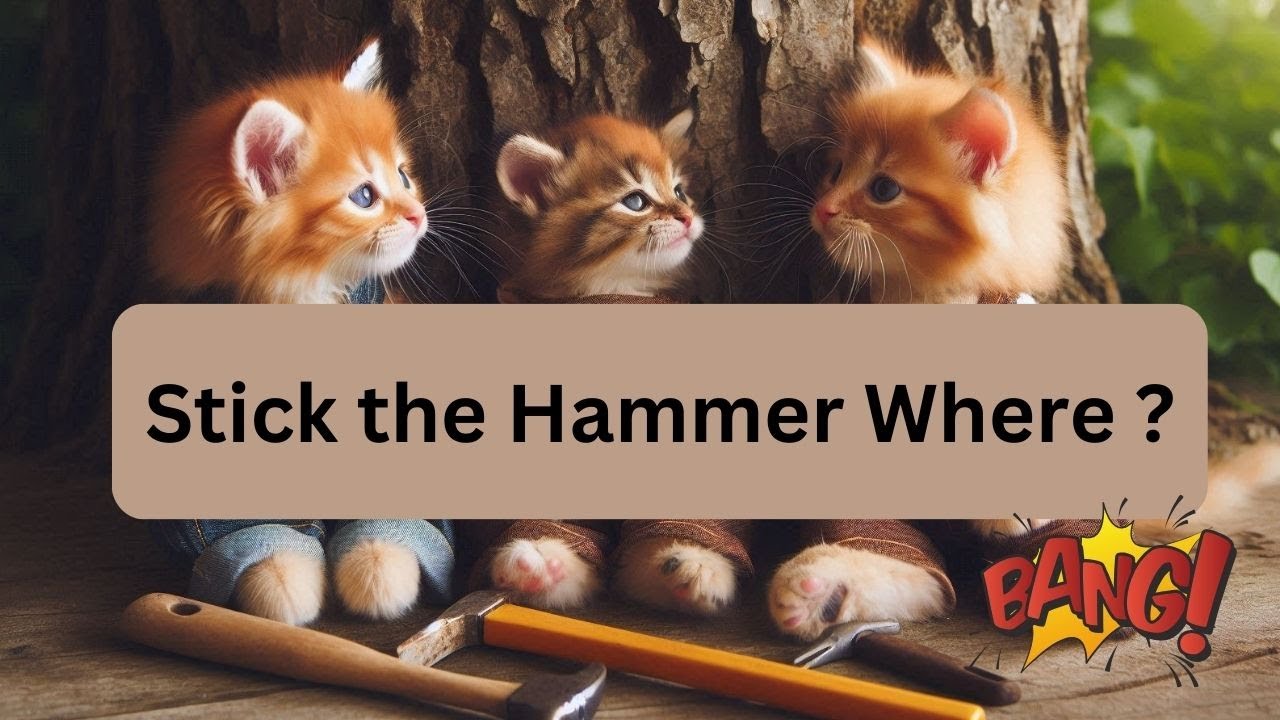 Put the Hammer where ? - YouTube