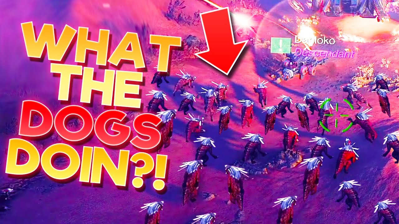 WHY ARE THERE SO MANY DOGS?!?! 😱 What The Dogs DOIN?! 😂 - YouTube