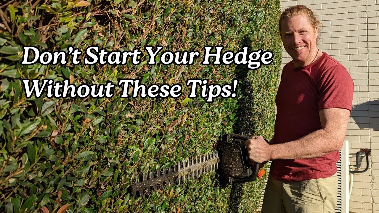Perfect Hedging Made Easy: Step by Step Beginner’s Guide - YouTube