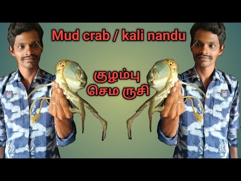 Mud crab / kali nandu நண்டு சமையல் சூப்பர் - YouTube