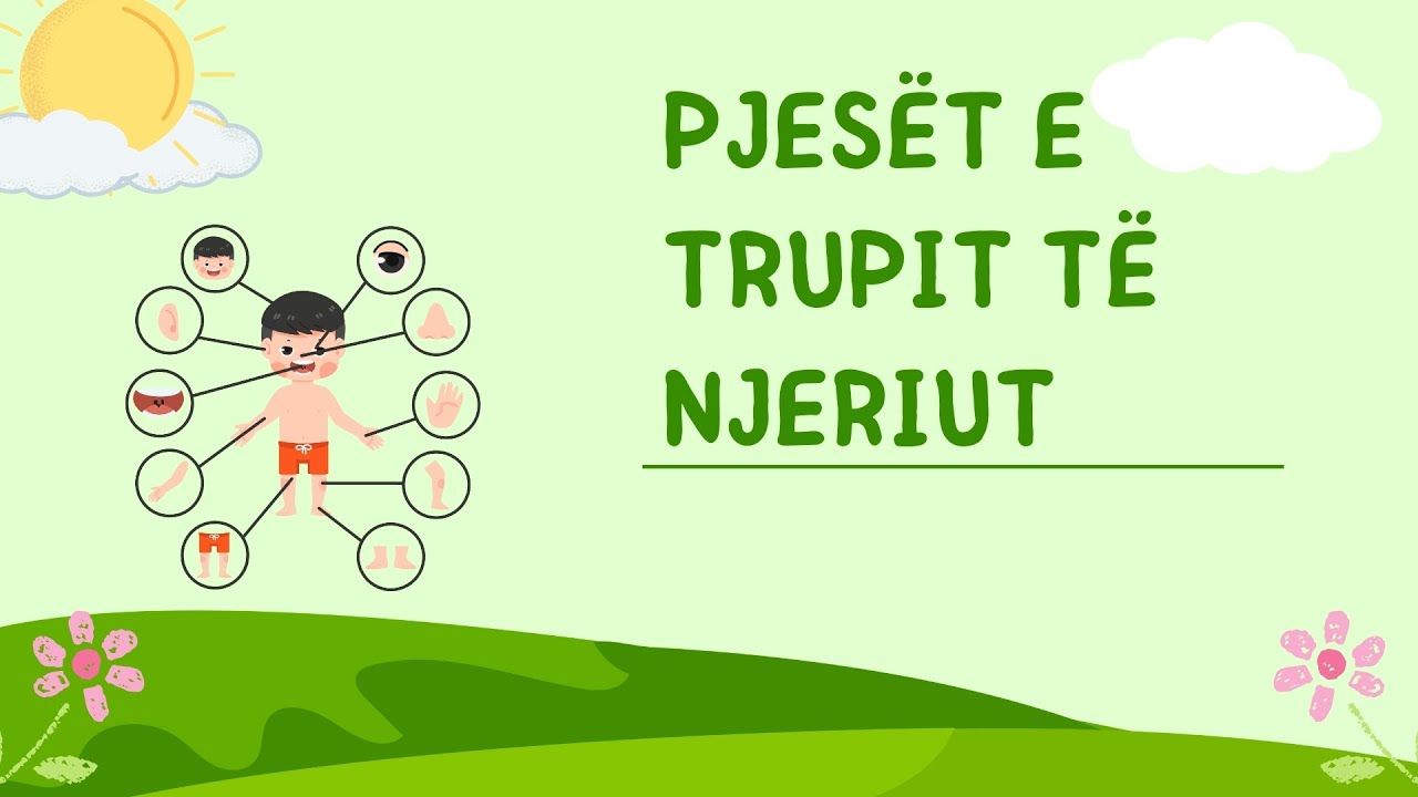 “Kuiz mbi Pjesët e Trupit të Njeriut – Testo Dije Të Tuat!” - YouTube