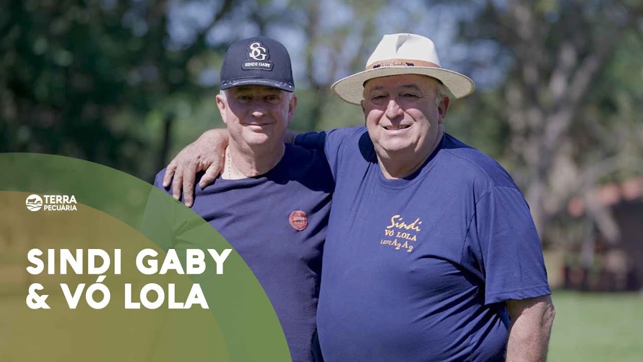 TERRA PECUÁRIA - 1º LEILÃO SINDI GABY E SINDI VÓ LOLA - YouTube