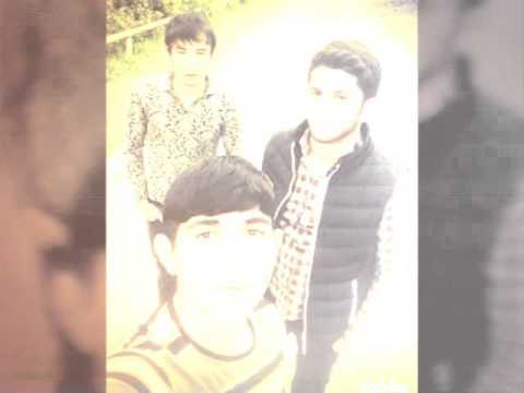 Yusif555 o bunu bilir